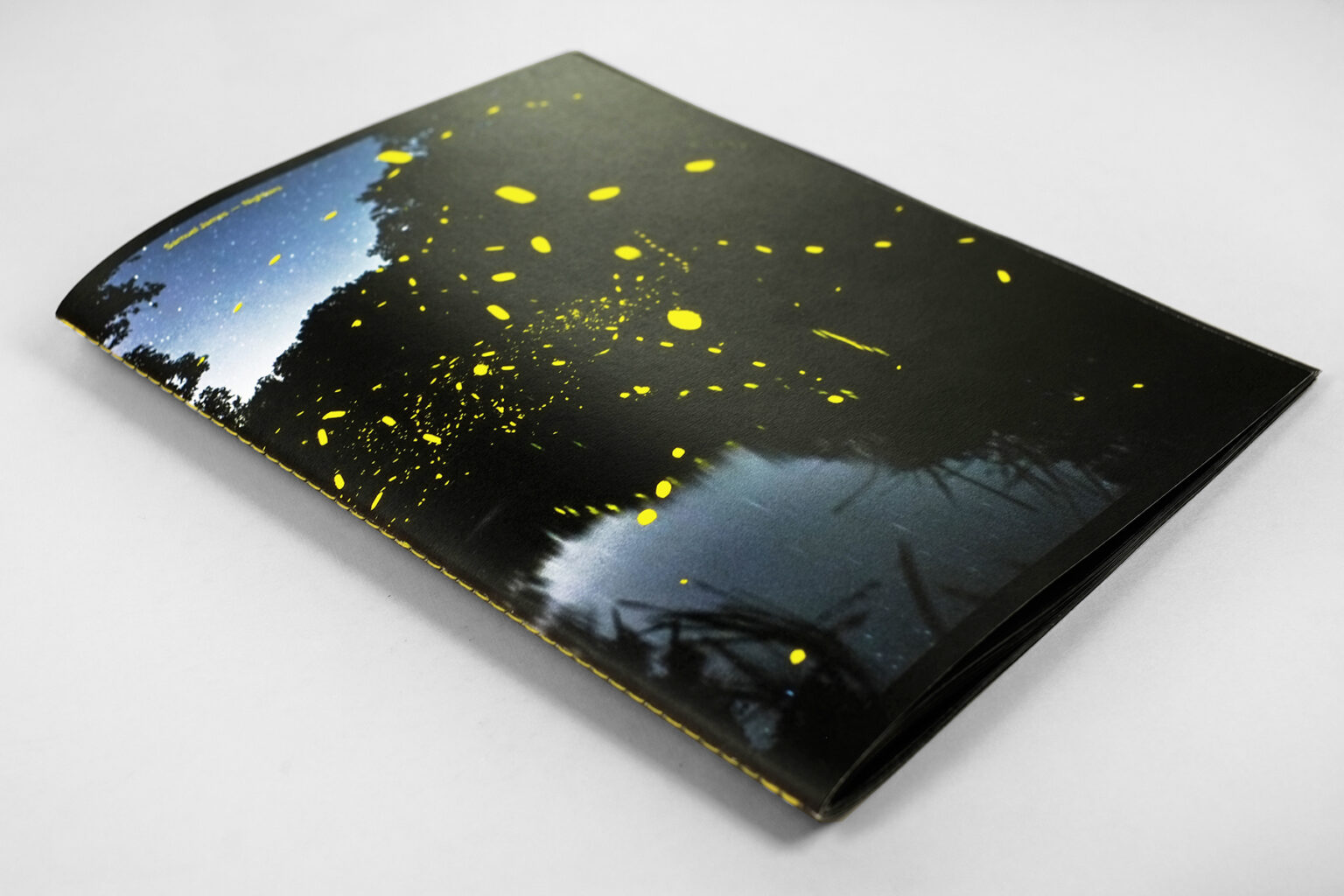 Samuel James — Nightairs | Fw:Books