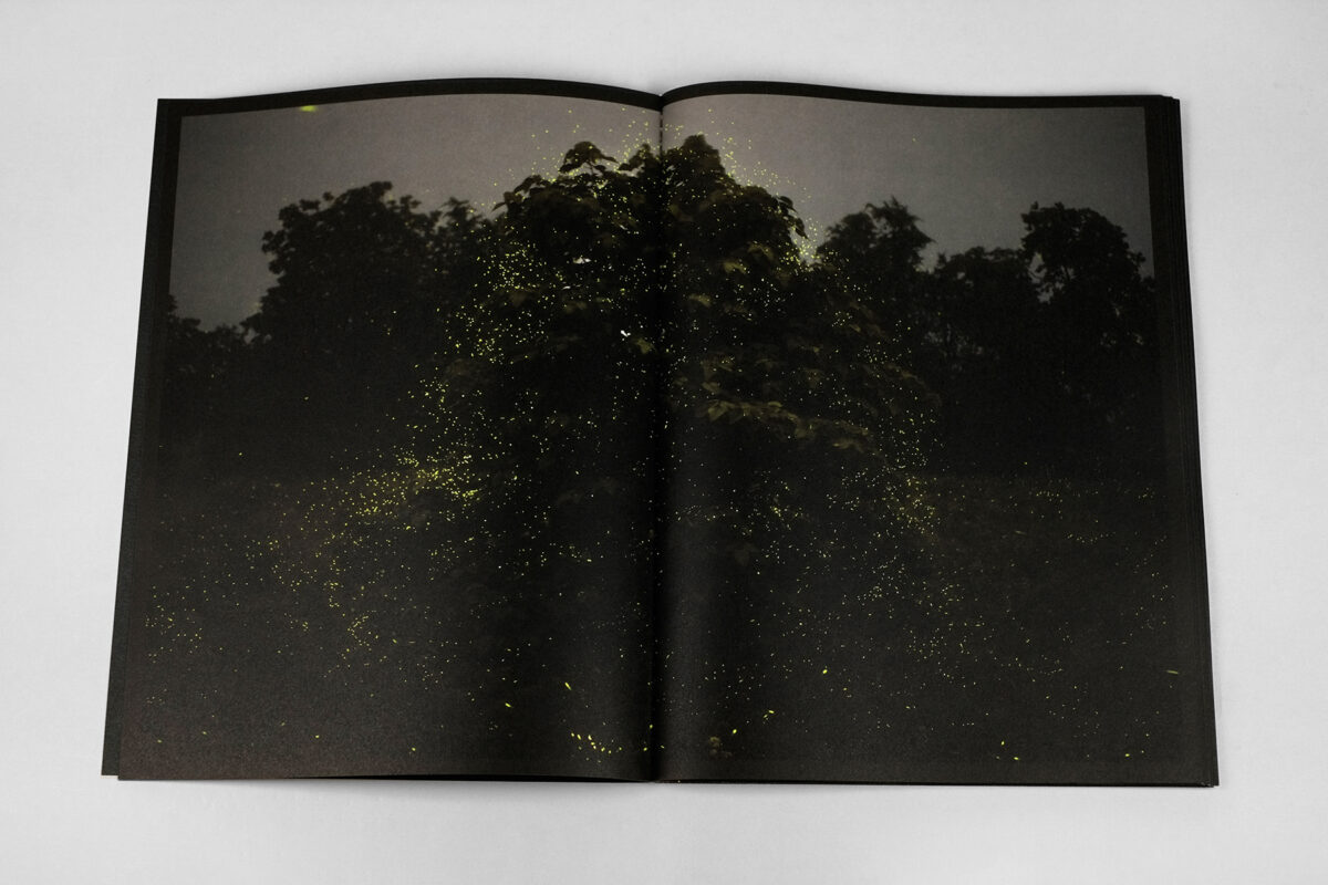 Samuel James — Nightairs | Fw:Books