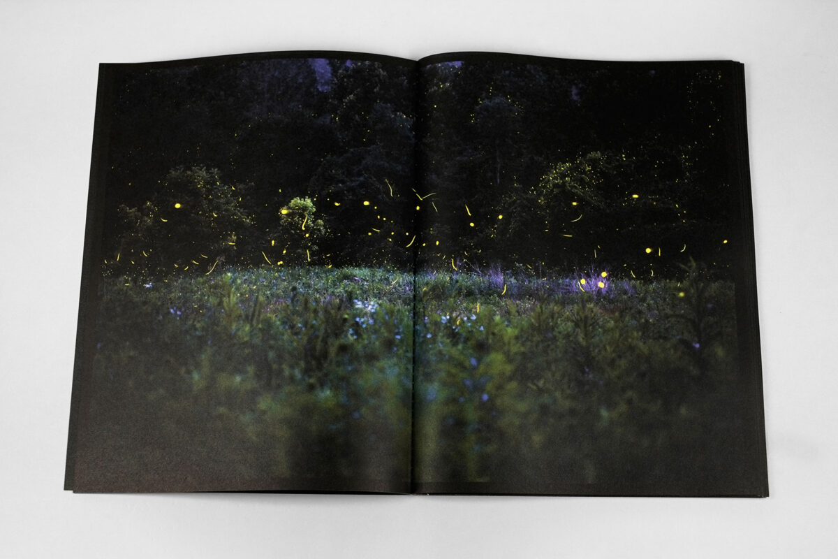 Samuel James — Nightairs | Fw:Books