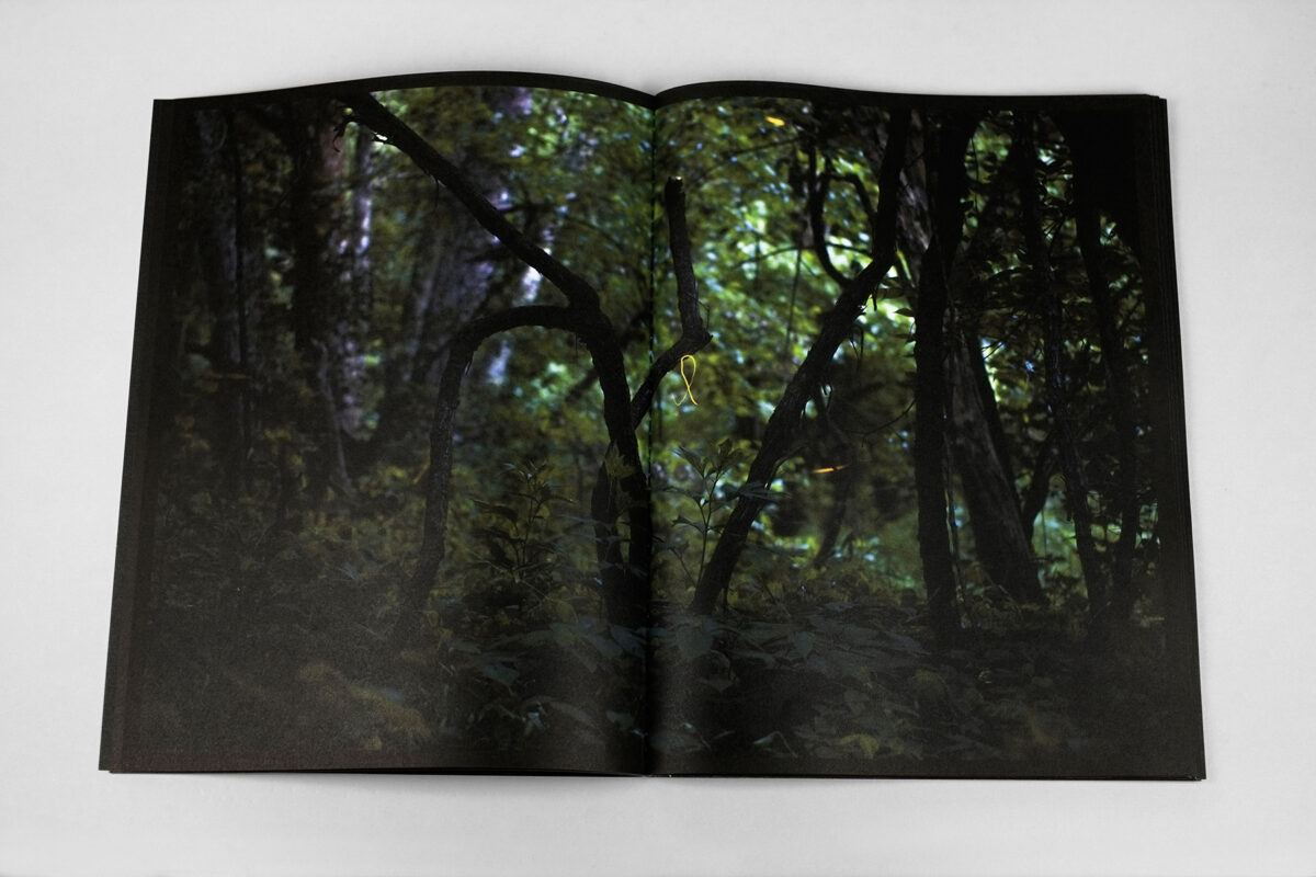 Samuel James — Nightairs | Fw:Books