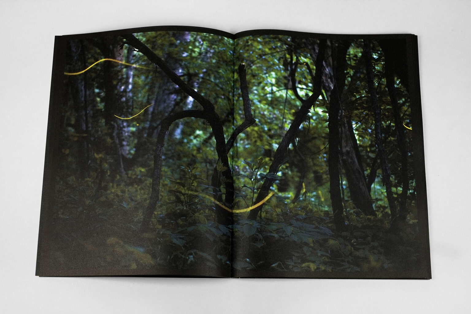 Samuel James — Nightairs | Fw:Books