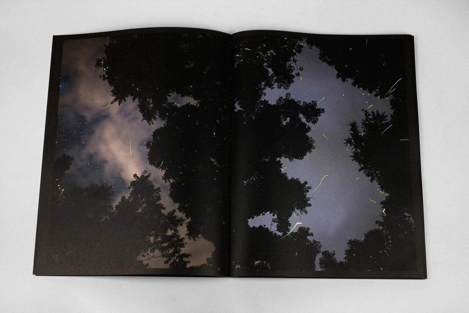 Samuel James — Nightairs | Fw:Books