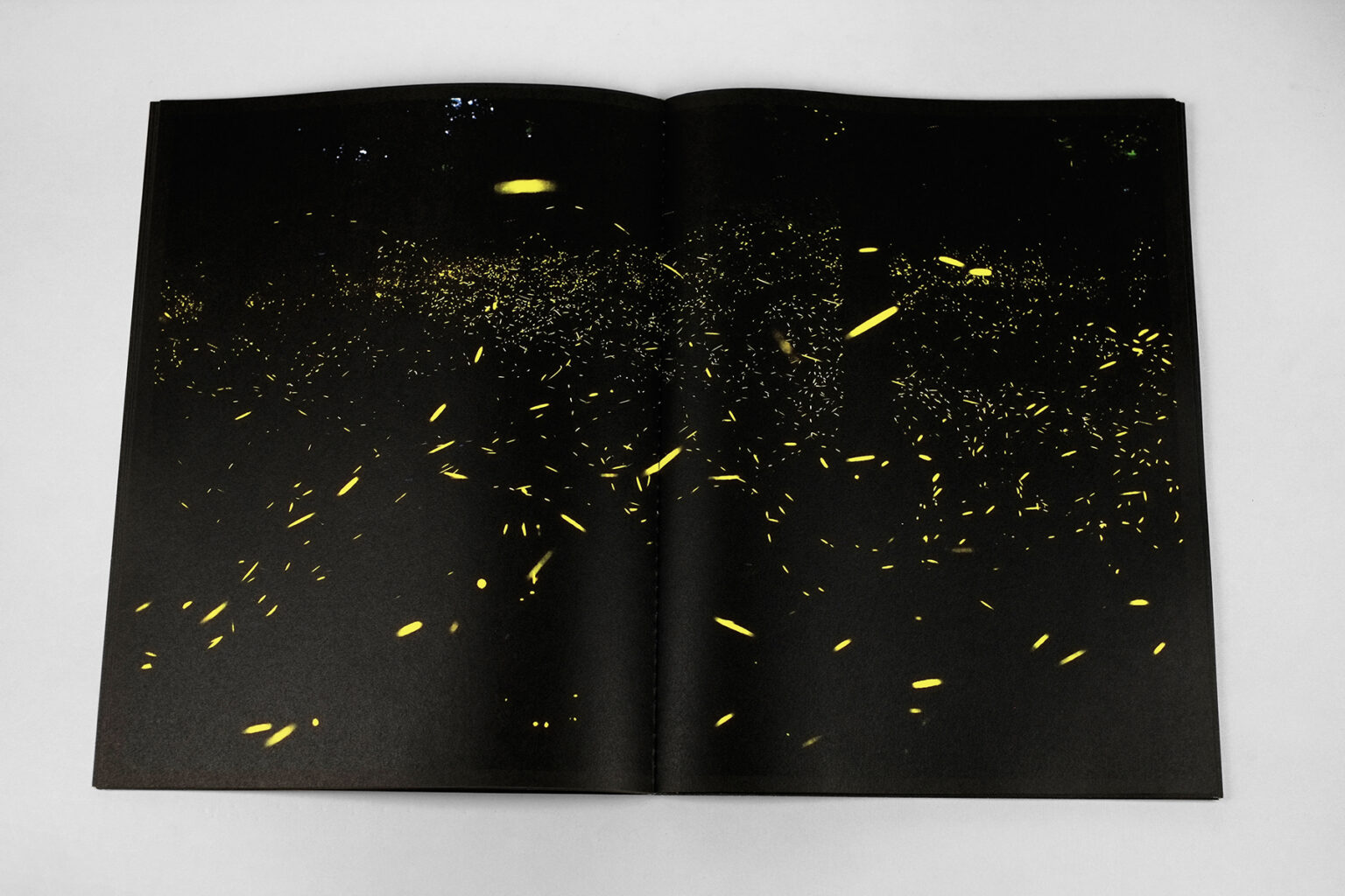 Samuel James — Nightairs | Fw:Books