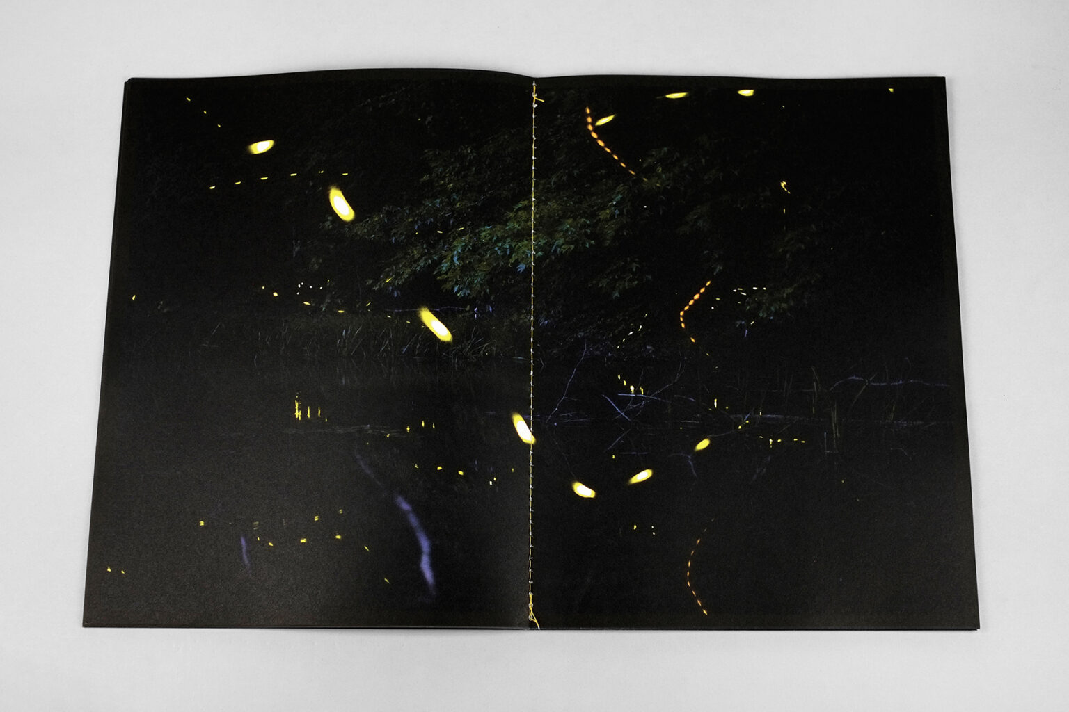 Samuel James — Nightairs | Fw:Books
