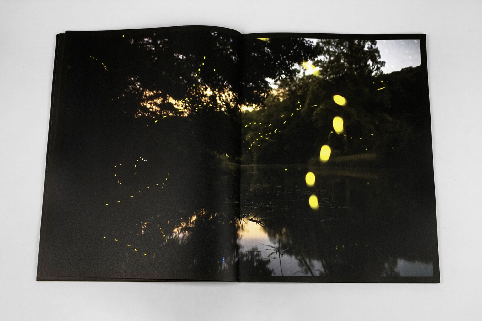 Samuel James — Nightairs | Fw:Books