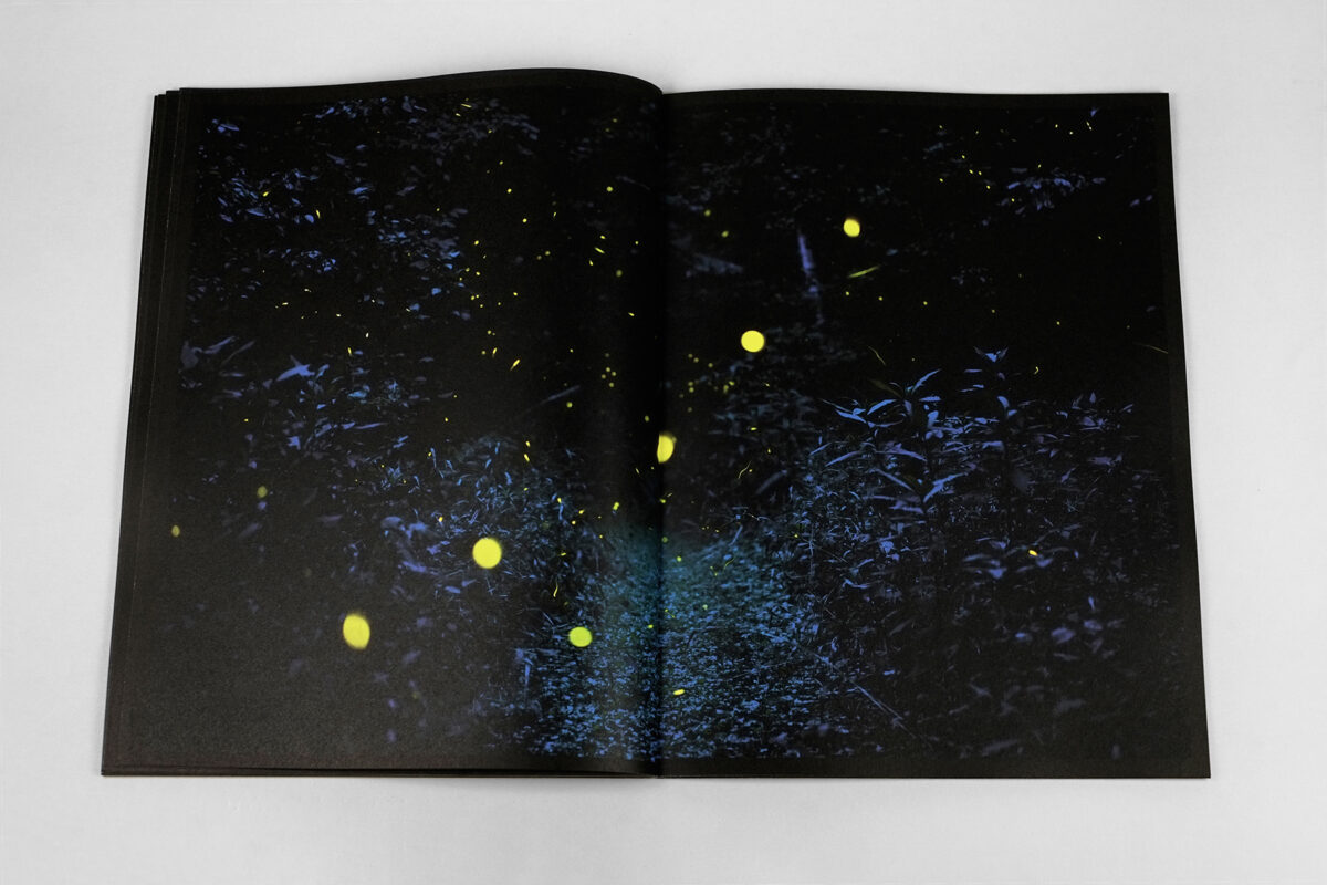 Samuel James — Nightairs | Fw:Books