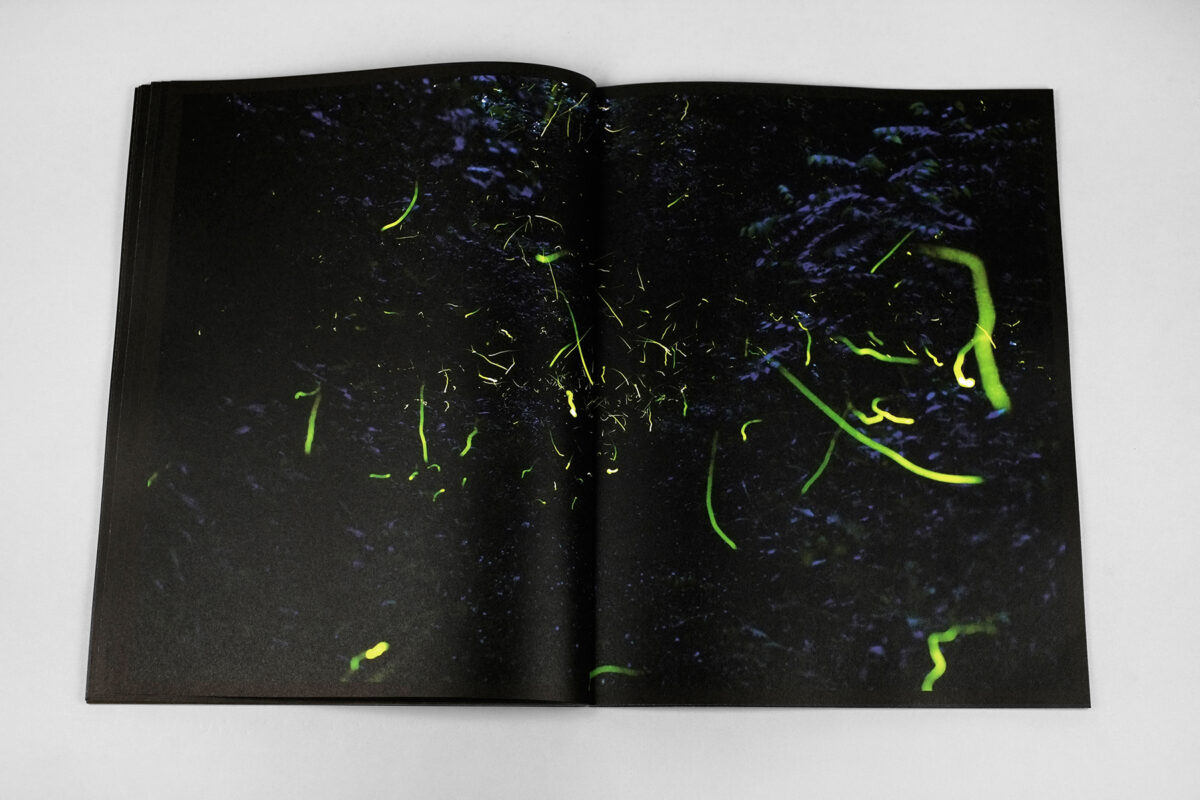 Samuel James — Nightairs | Fw:Books