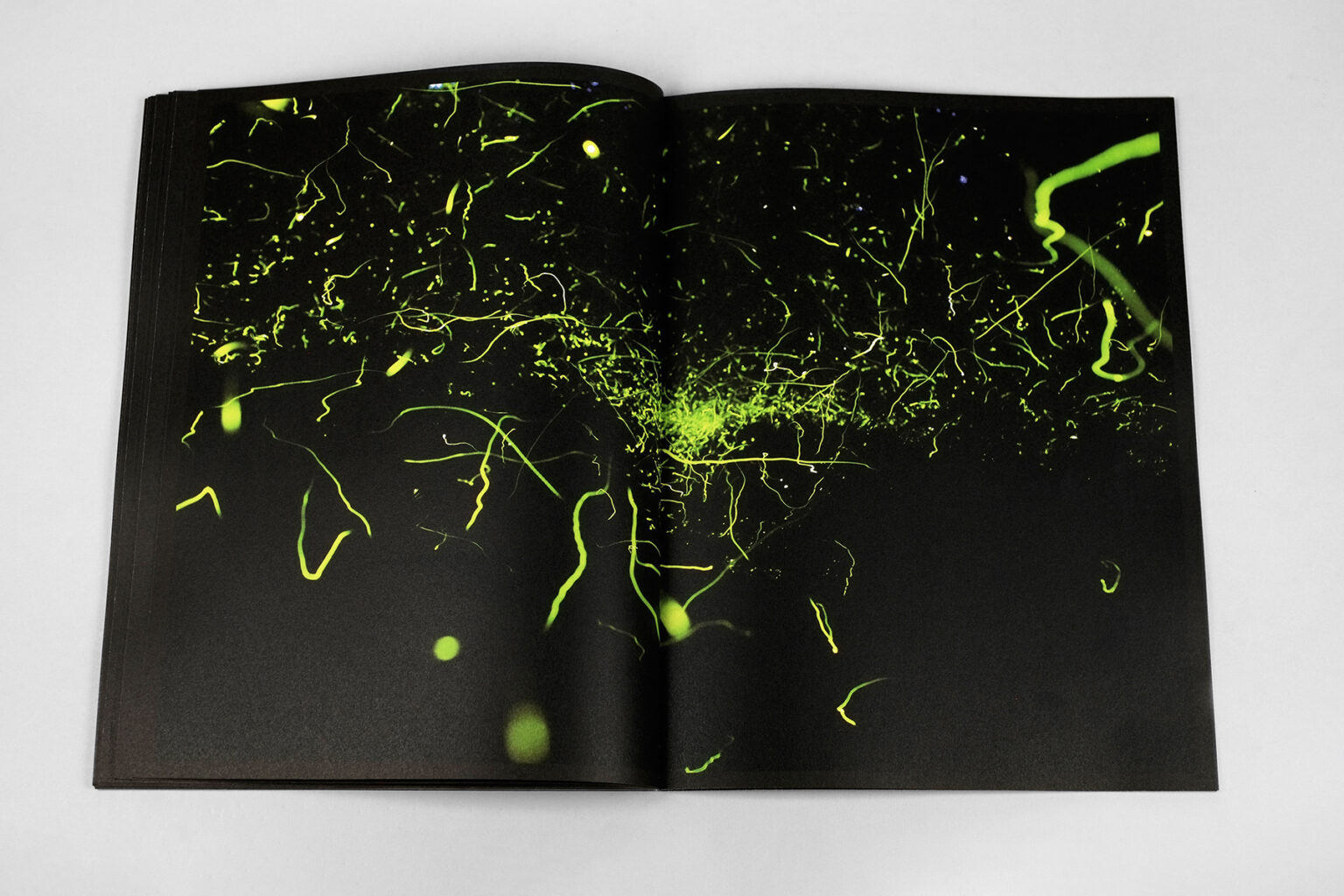 Samuel James — Nightairs | Fw:Books