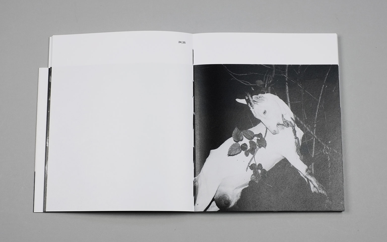 Issei Suda — My Japan | Fw:Books